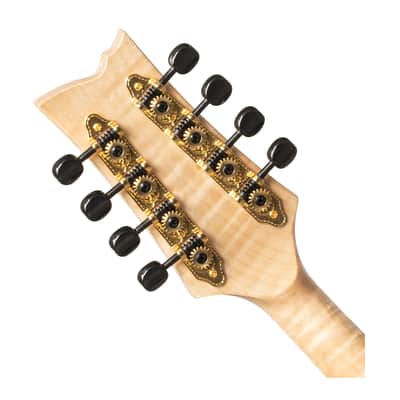 Ortega RMAE200PF A/E A-Style Mandolin - Transparent Purple | Reverb
