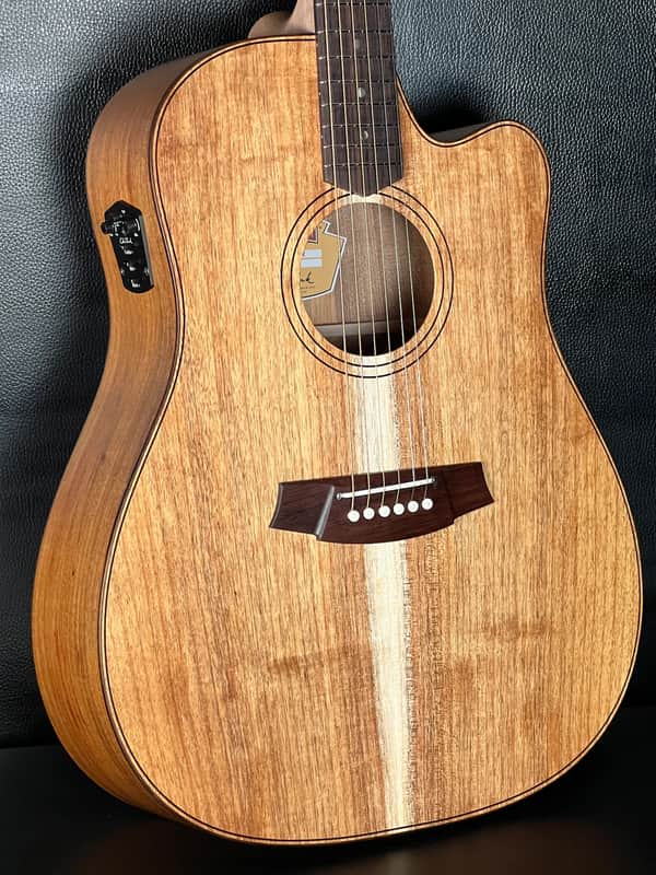 Cole Clark FL Dreadnought FL2EC-BLBLR 2026 | Reverb