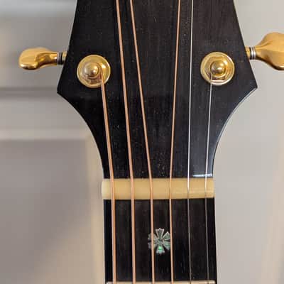 Hsienmo 00-12 2025 - nutro high gloss | Reverb