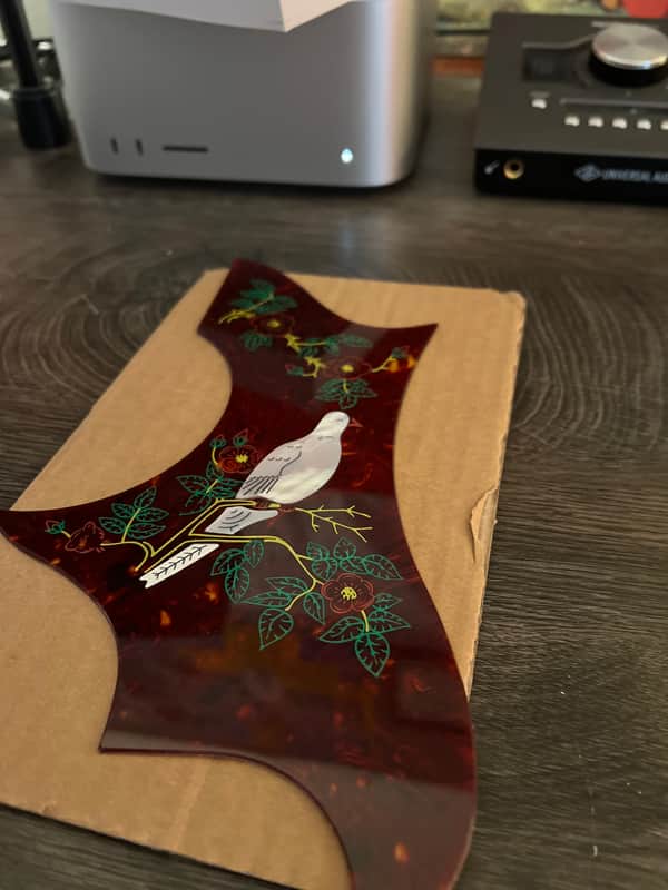 Gibson Dove Pickguard | Reverb Portugal