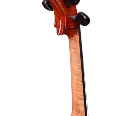One Piece Back Guarneri Cello 4/4 – Hand-Made in Romania 2025 | Reverb