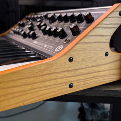 Moog Subsequent 25 Analog Synth 2020 - Present Black | Reverb
