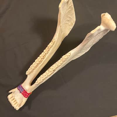 15" Quijada Rattle (Donkey Jawbone) - NEW / UNUSED | Reverb