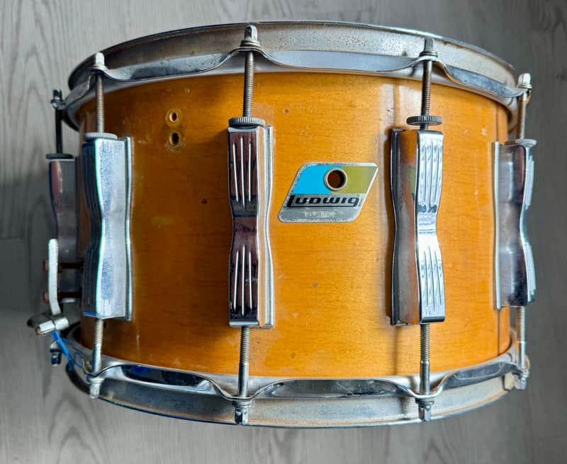 Ludwig Coliseum Snare 8x14 Natural Thermogloss | Reverb