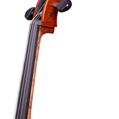 One Piece Back Guarneri Cello 4/4 – Hand-Made in Romania 2025 | Reverb