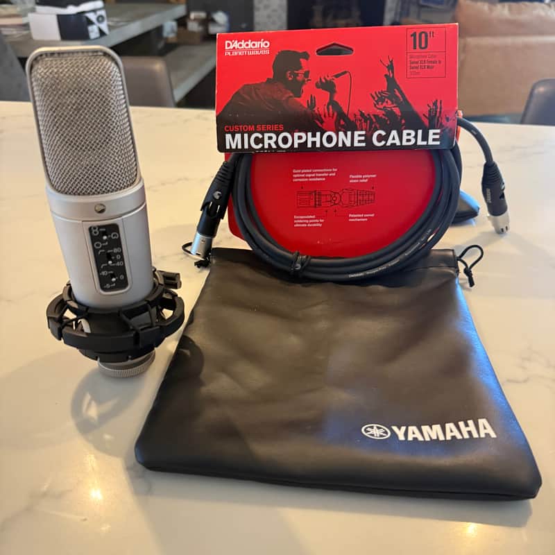 RODE NT2-A Studio Microphone Bundle + Premium D’Addario XLR | Reverb