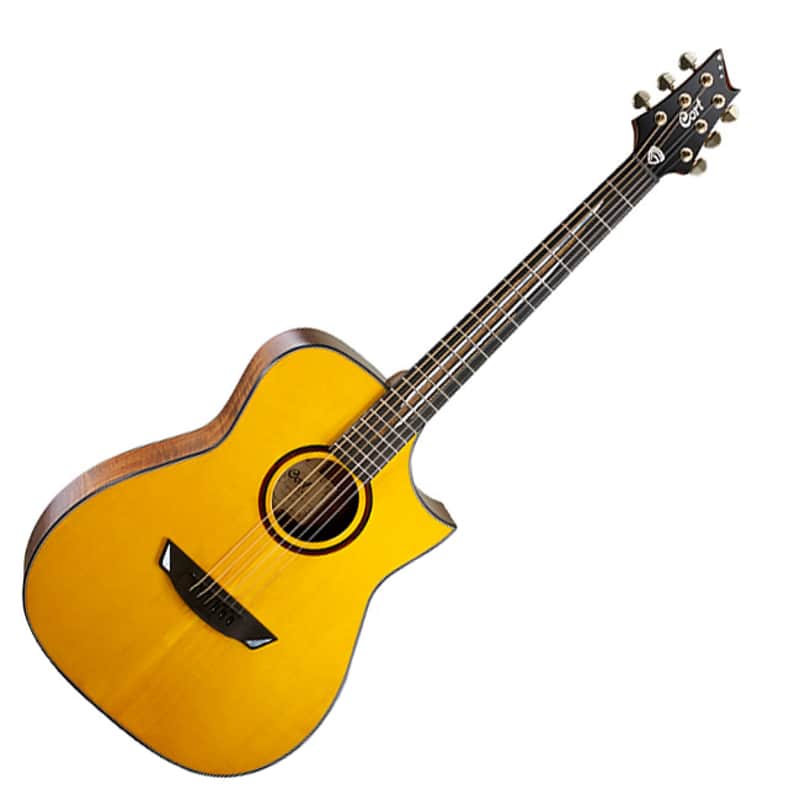 Cort Luxe Frank Gambale Signature Acoustic Guitar | Reverb Canada