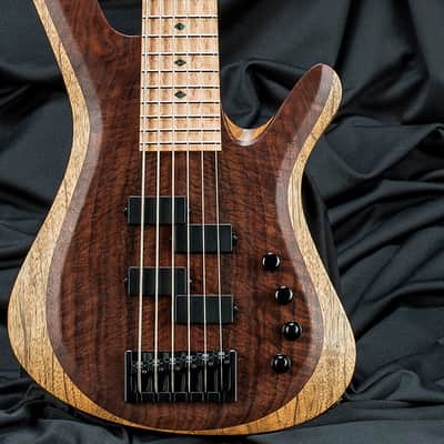 Kiesel Carvin RV69K 6 String Bolt On Roy Vogt | Reverb France