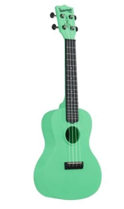 Kala Recycled Waterman Concert Size Sea Foam Green | Reverb