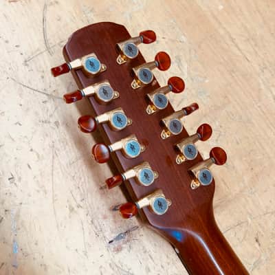 Alvarez Kazuo Yairi DY-72 12-String Acoustic Guitar w/Case | Reverb