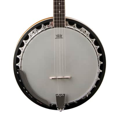 Washburn B9 Americana Series (5 String) Banjo - Sunburst | Reverb