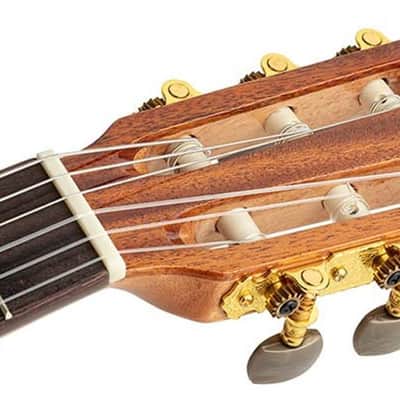 Salvador Cortez CC-22 Solid Top Artist Series Classic guitar | Reverb