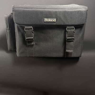 Roland AC-60 Acoustic Chorus 2-Channel 60-Watt 2x6.5" | Reverb