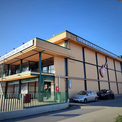 MARCUS MILLER V7 4 Swamp Ash Natural (2nd | Reverb The Netherlands