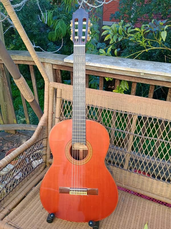 Yamaha GC-21C classical, all solid, cedar over rosewood, | Reverb