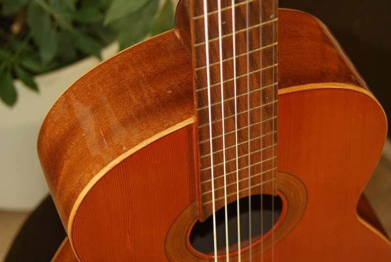 Raimundo Model 100 Spanish | Reverb UK