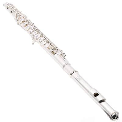 William S. Haynes Model Q-GALWAY 'James Galway' Concert Flute | Reverb