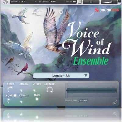 Voices of Wind Collection (Download) Six stunning vocalists, | Reverb