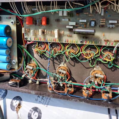 RARE Randall RGT RG100ES +TUBE CoMPlete ReBuiLD Custom Snake | Reverb