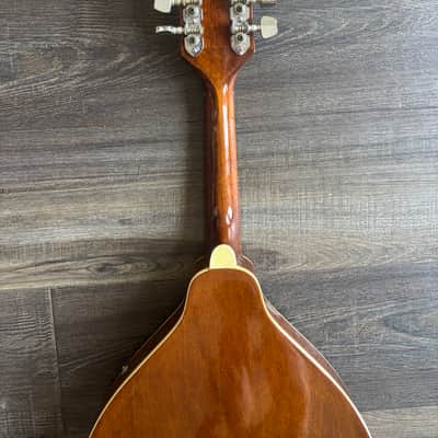 Sigma Mandolin 8 - string SM - 3 1970s | Reverb