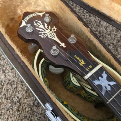 Alvarez Denver Belle 5-String Banjo Resonator Bluegrass 5 | Reverb