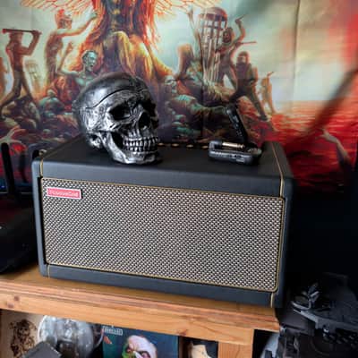 Positive Grid Spark 40 and Nux Wireless Transmitter/Receiver | Reverb