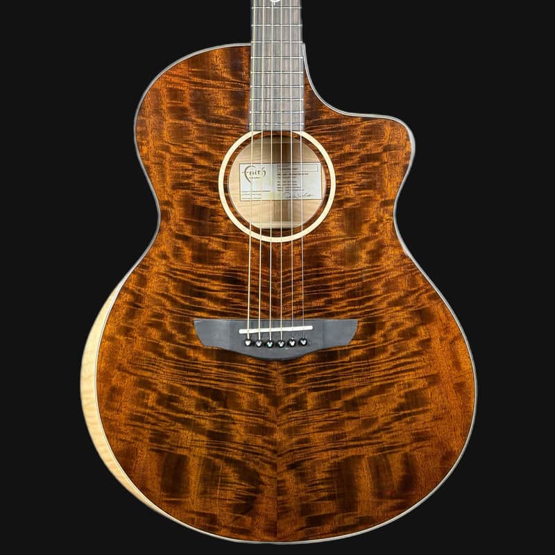 Faith FX Series FNCEDNG Neptune Cutaway Electro Acoustic in | Reverb