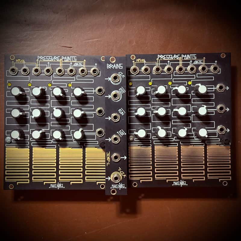 Make Noise Brains & 2x Pressure Points - Black | Reverb
