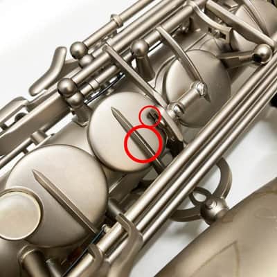 Antigua [Slightly Damaged - Special Price!!] [35th | Reverb