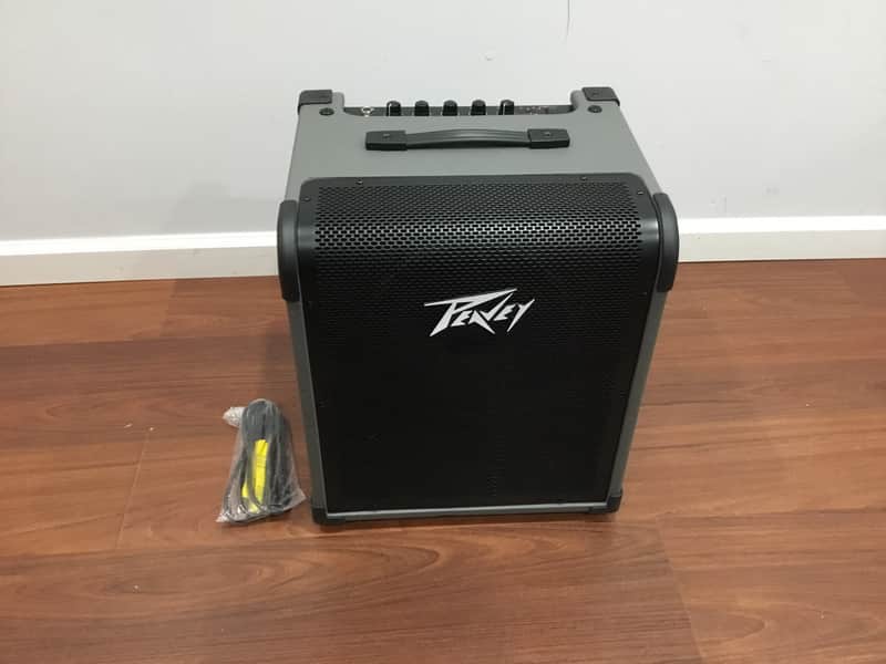 Peavey MAX 100 100-Watt 1x10" Bass Combo - Gray / Black | Reverb