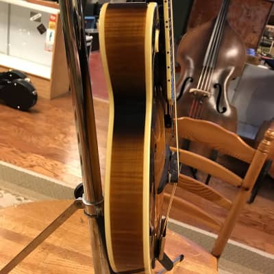 Alvarez A-800 F Style Mandolin Sunburst | Reverb