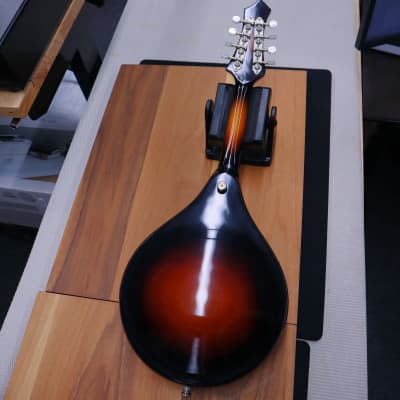 Rigel Mandolin A-Style, A+ Model w/Tolex Fitted Case | Reverb