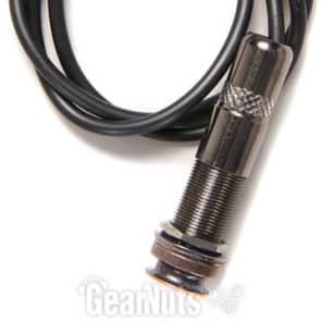 LR Baggs M1A Active Soundhole Pickup w/ Volume Control | Reverb