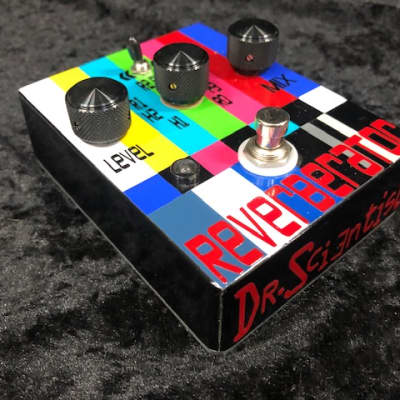 Dr. Scientist Reverberator Reverb Effects Pedal | Reverb