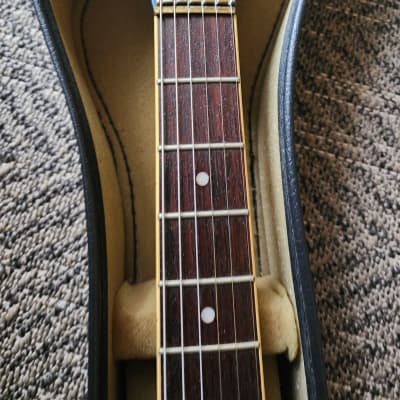 1985 Hohner Professional RR custom Randy Rhoads Flying V | Reverb