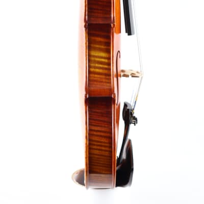 Modern 5 Strings violin/viola | Reverb