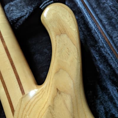 Legator Helio 300 PRO 5 String Bass | Reverb