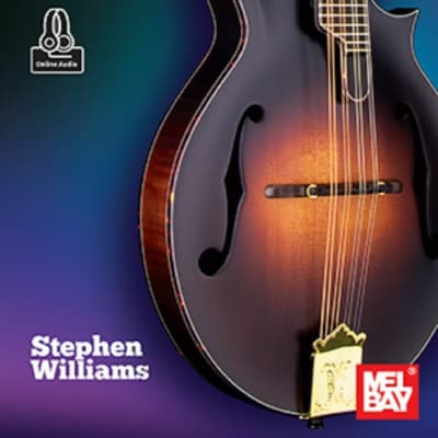 Mandolin Harmonic Suppressor by Bruce Weber | Reverb