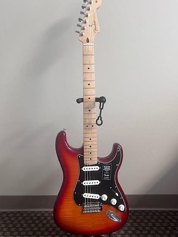 Fender Stratocaster Player Plus-Top SSS huge bundle includes | Reverb