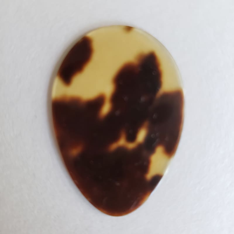 Herdim Vintage Tortoise Shell Guitar Pick 1950's (R155) | Reverb