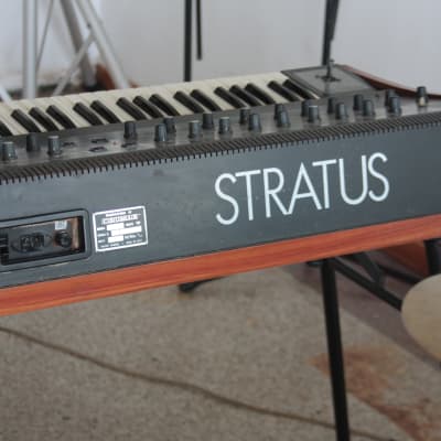 CRUMAR STRATUS Synthesizer and an Organ synth | Reverb