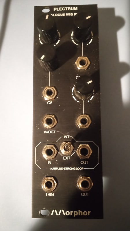 Morphor Plectrum bbd delay - Black | Reverb