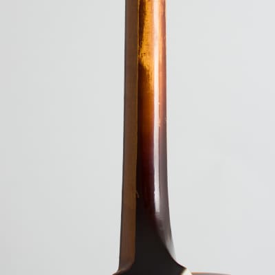 Marwin Deluxe Modified Arch Top Acoustic Tenor Guitar, made | Reverb