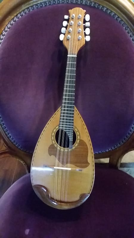 Ventura Bowl back 1960s Gloss/Rosewood Nice Player Rare Find | Reverb