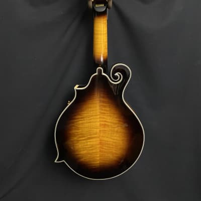 Gold Tone F-6+ Mando-Guitar 6-String Mandolin w/pickup, | Reverb