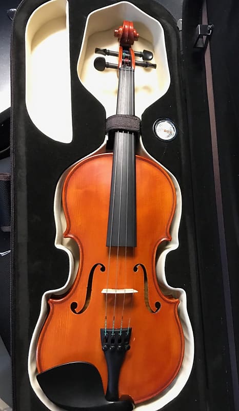 QM PWVN 3/4 Violin, With Case (Without Bow) | Reverb
