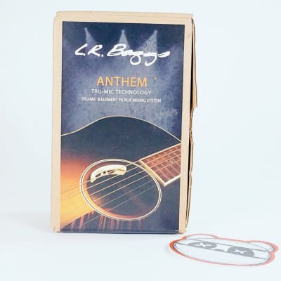 LR Baggs Anthem Tru-Mic & Element Pickup Mixing System | Reverb