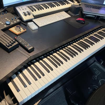 Doepfer LMK2+ 88-key Master Keyboard Controller without Case | Reverb