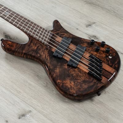 Spector Rex 5 Amber | Reverb