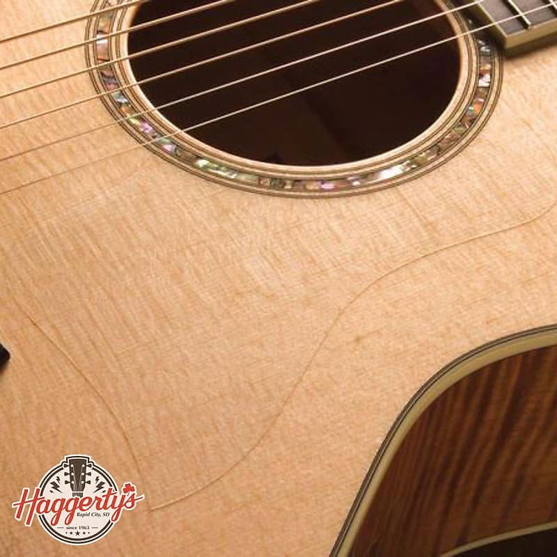 Taylor Pickguard Static Universal | Reverb